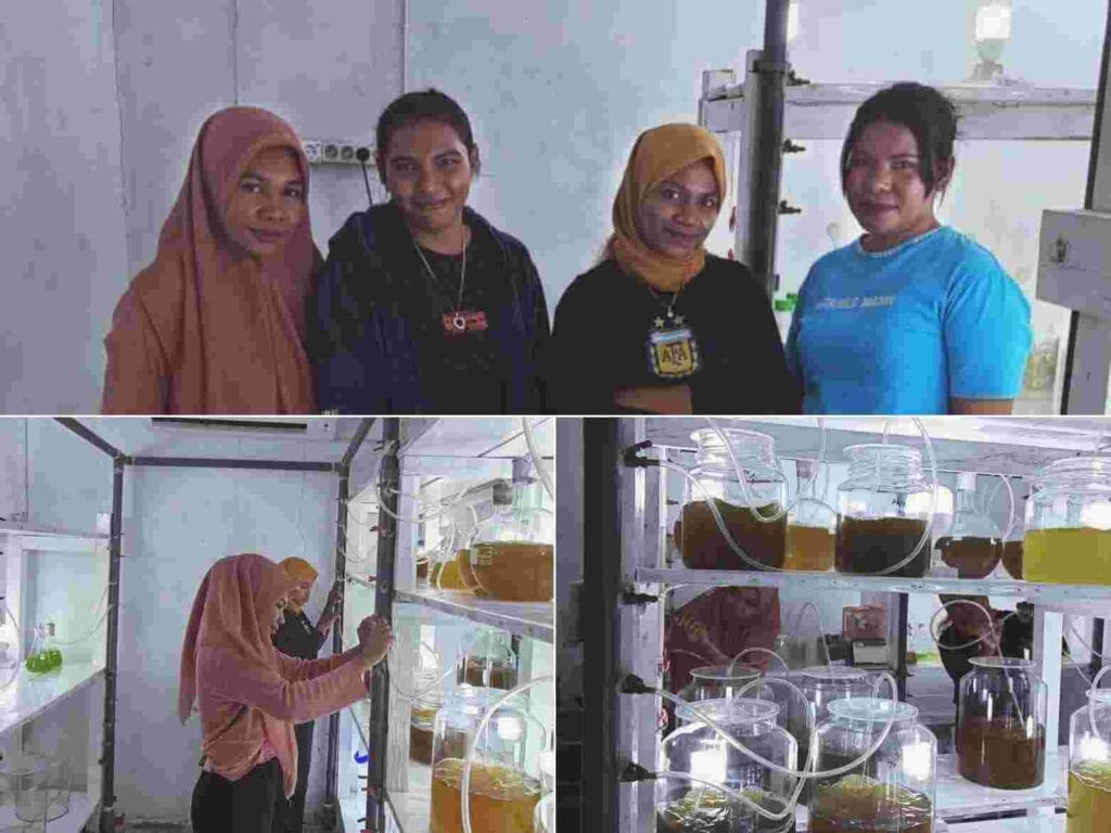 Cerita Sani Labetubun, Lulusan Polikant yang Kini Jadi Kepala ...