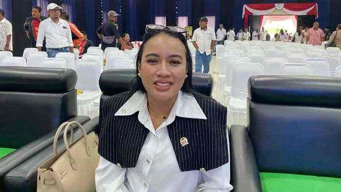 DPRD Maluku Dukung Penuh Penguatan Peran Saniri Negeri dan PPD di Kota ...